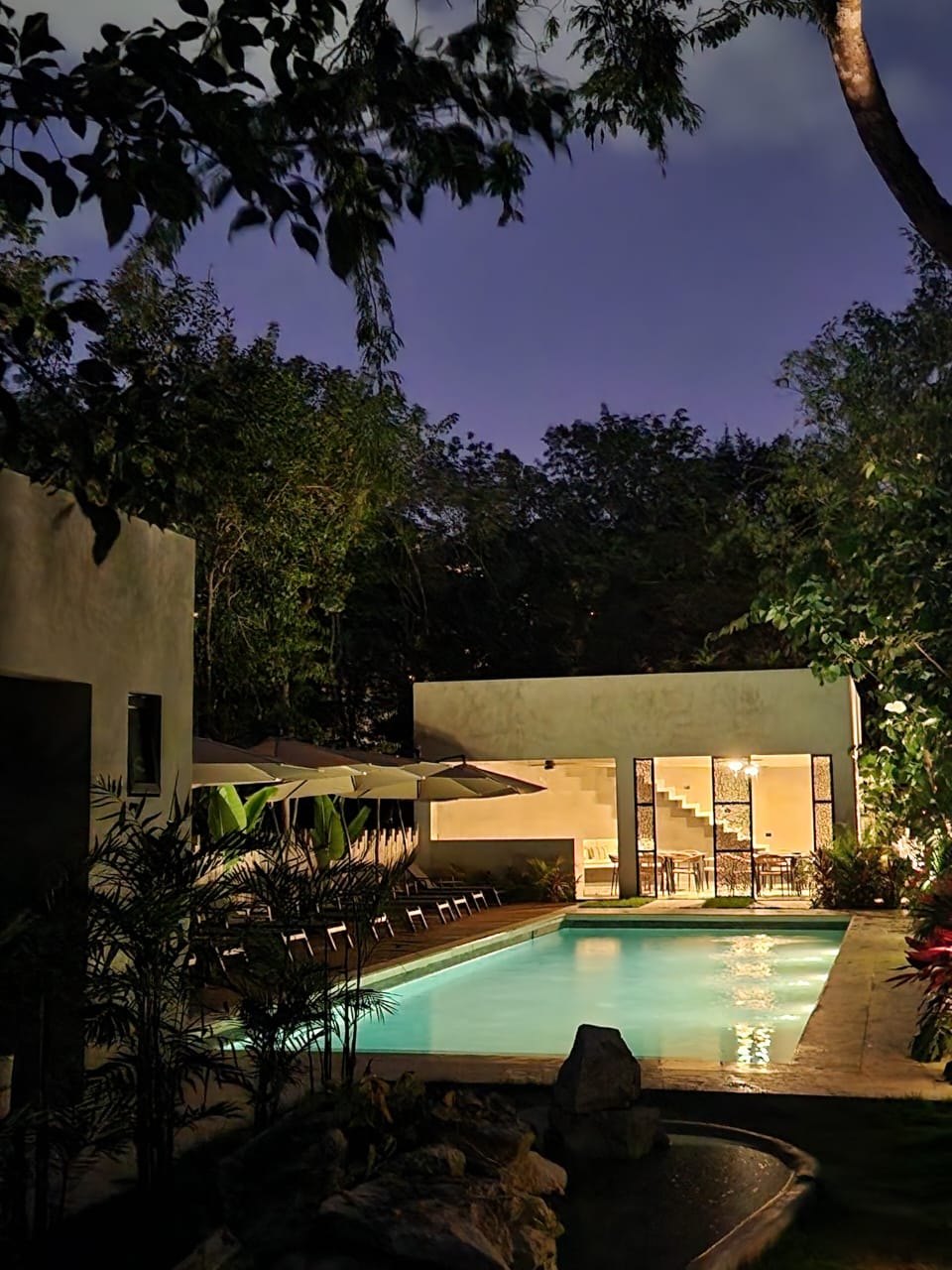 Contacto – Monarca Tulum